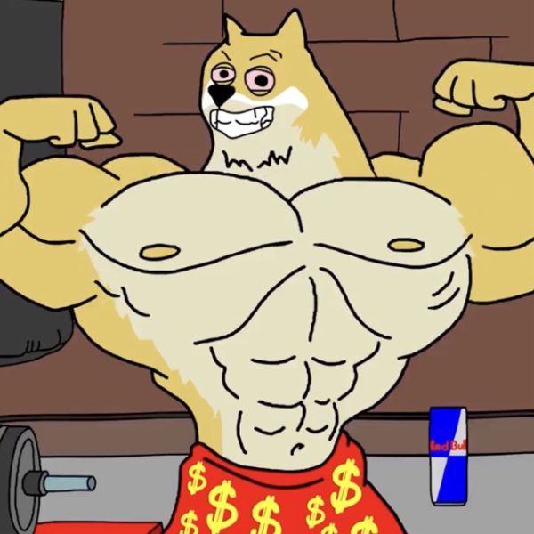 Maxi Doge kogub 800 000$ eelmüügis - Dogecoini trooni konkurent