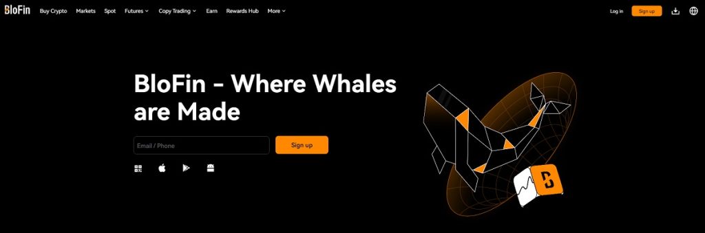 Blofin Review 2025: Ervaringen en kosten voor gebruikers