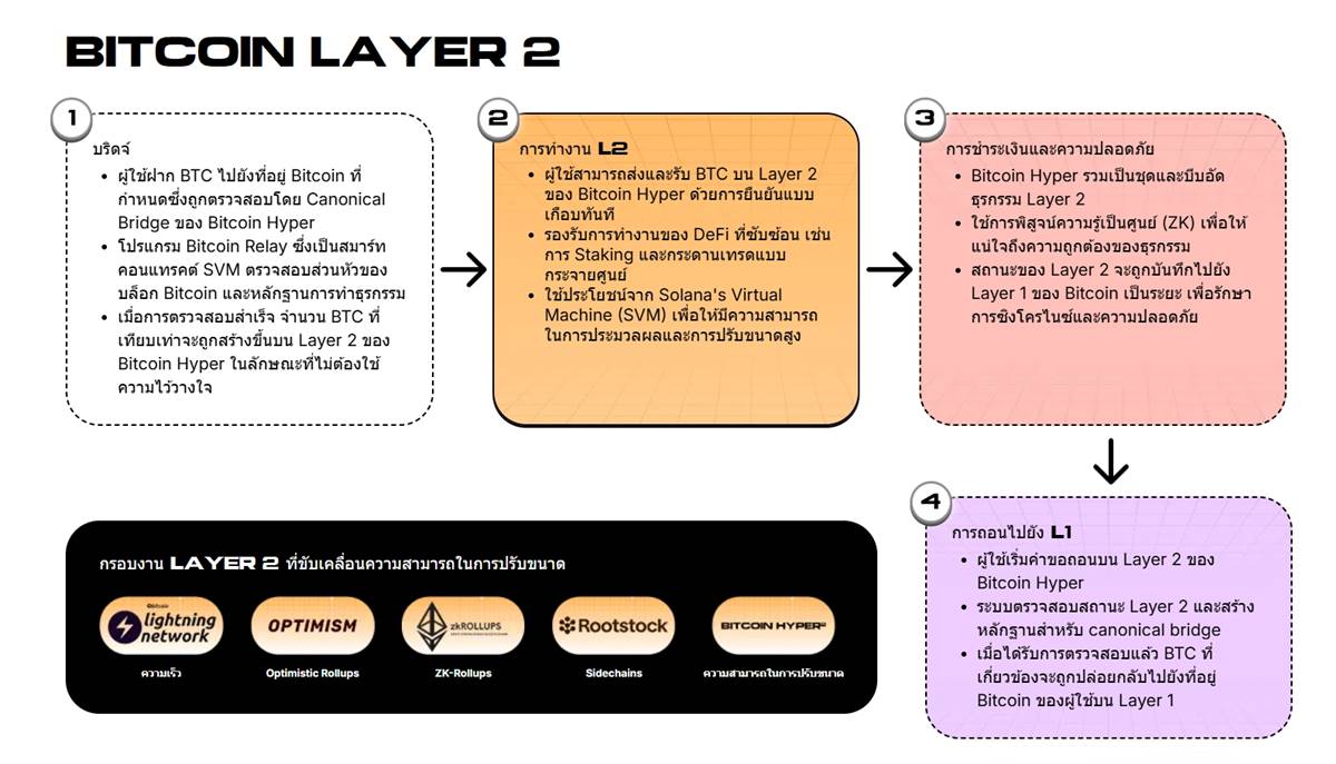 ตลาดแดงเดือด! Smart Money ช้อน Bitcoin สวนทาง รอวันพุ่งแรง