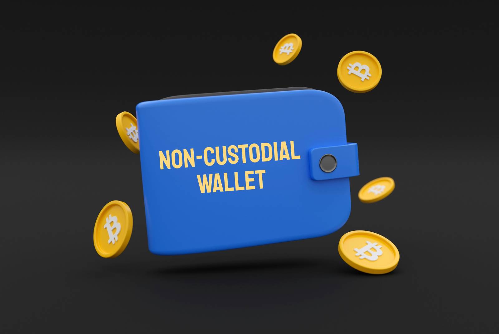 En İyi Non Custodial Wallet (Gözetimsiz Cüzdanlar) - 2025 Listesi