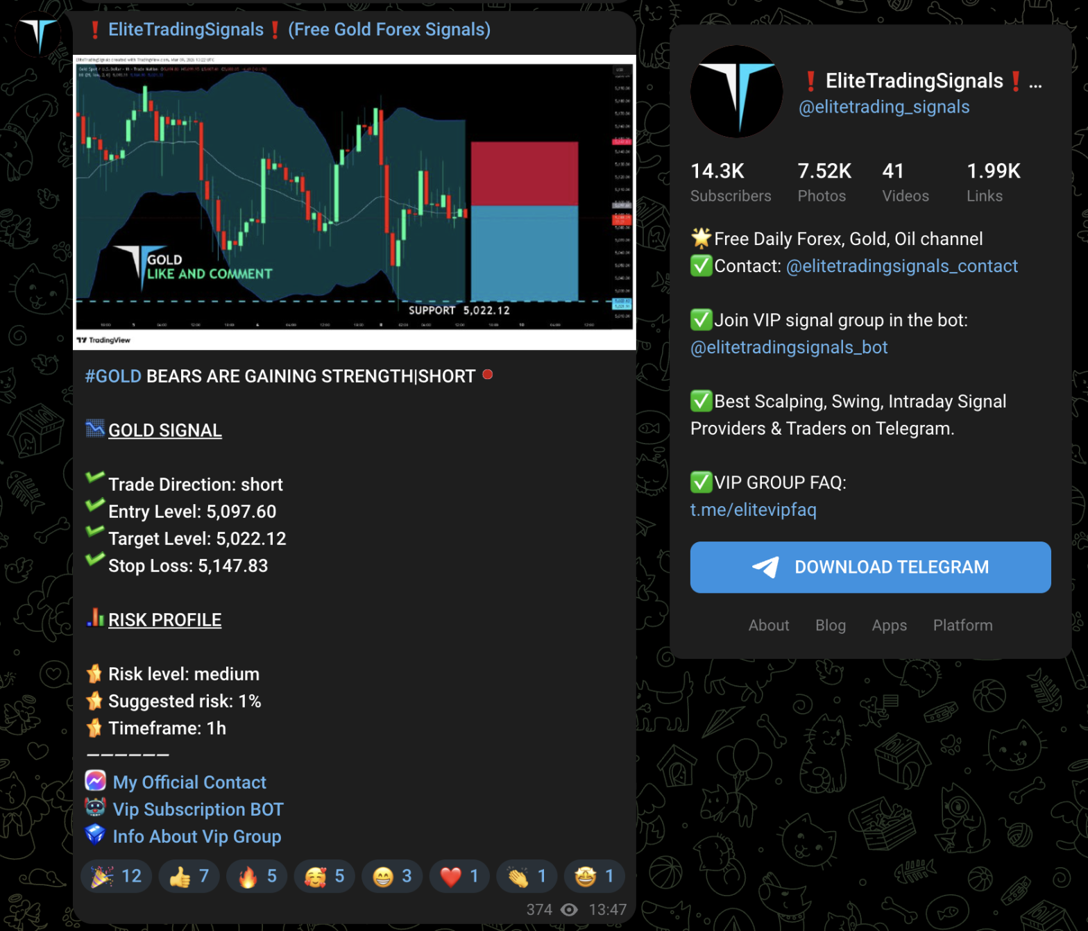 Best Telegram Groups for Forex Signals in 2026